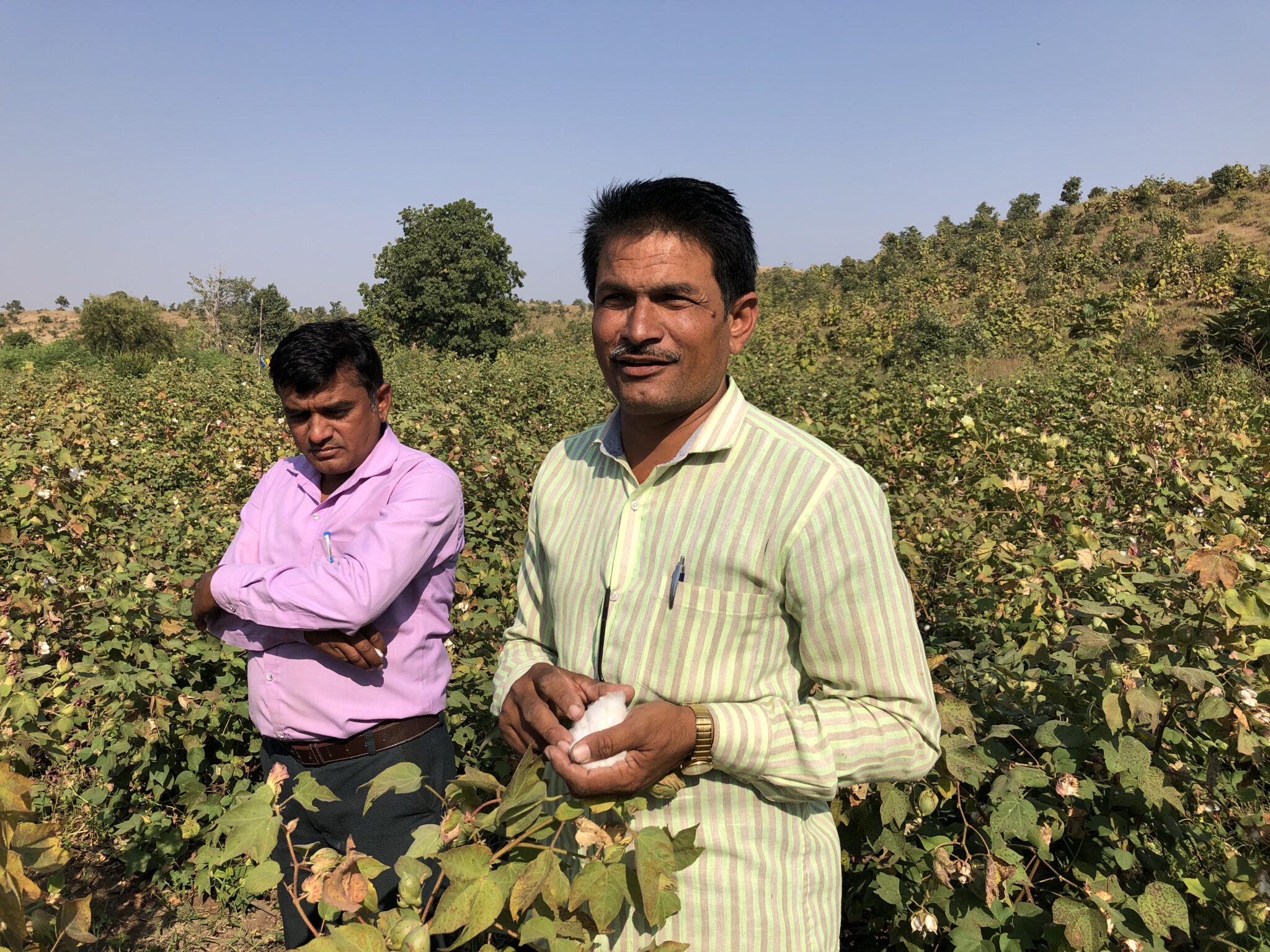 Fairtradeproducten op een rijtje - Fairtrade Gemeente